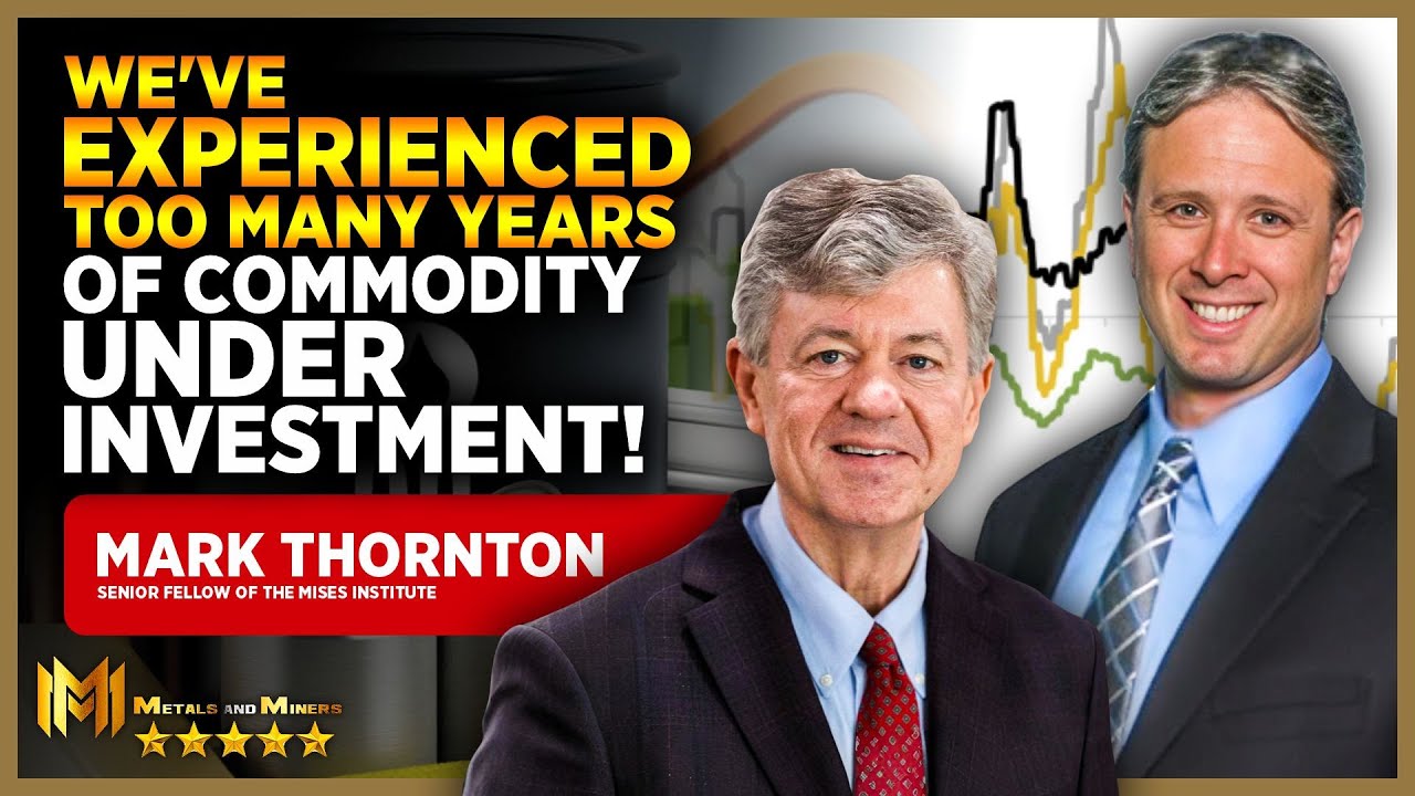 Underinvested Commodities, Overhyped AI: Reading 2026 the Austrian Way ...